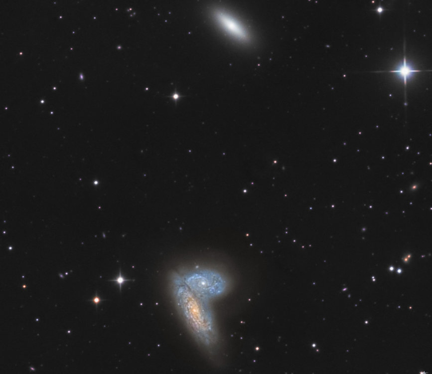 M 58 et NGC 4567 les siamoises - Astrophotographie - Webastro