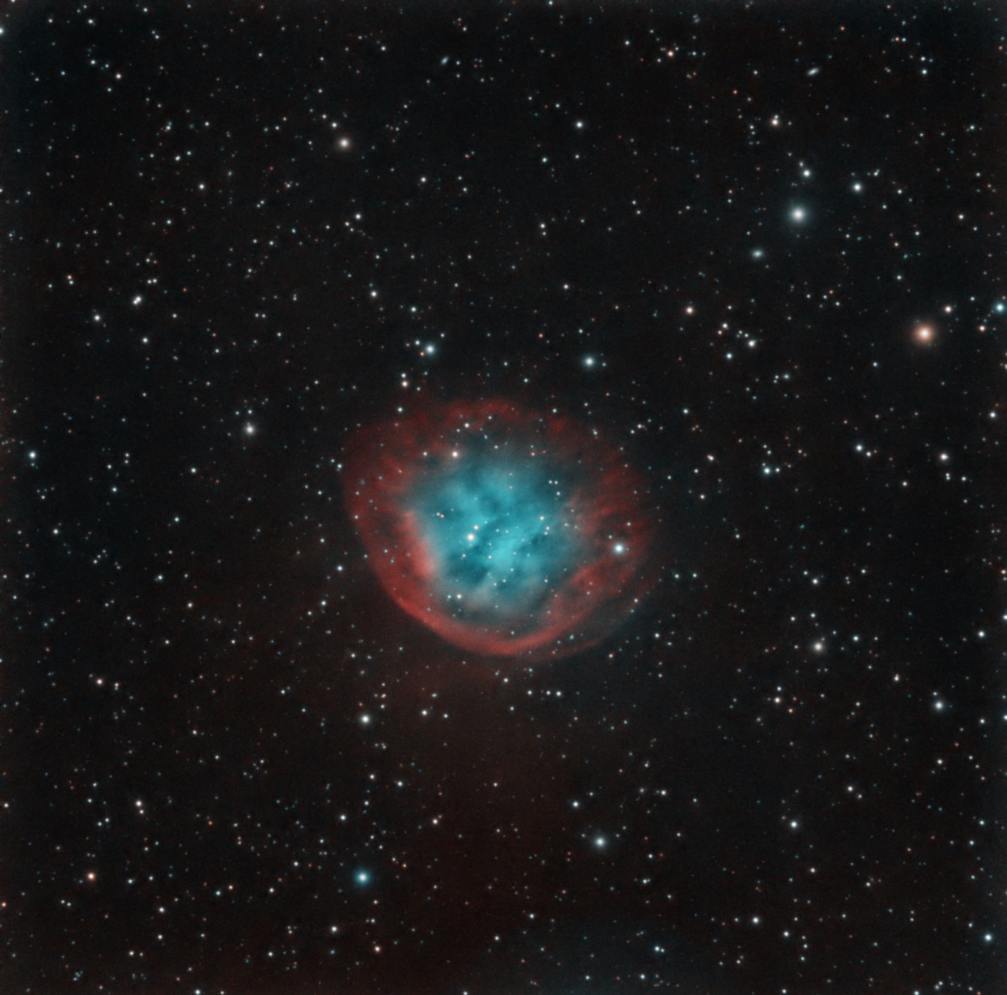 SH2-290 en narrow-band - Astrophotographie - Webastro