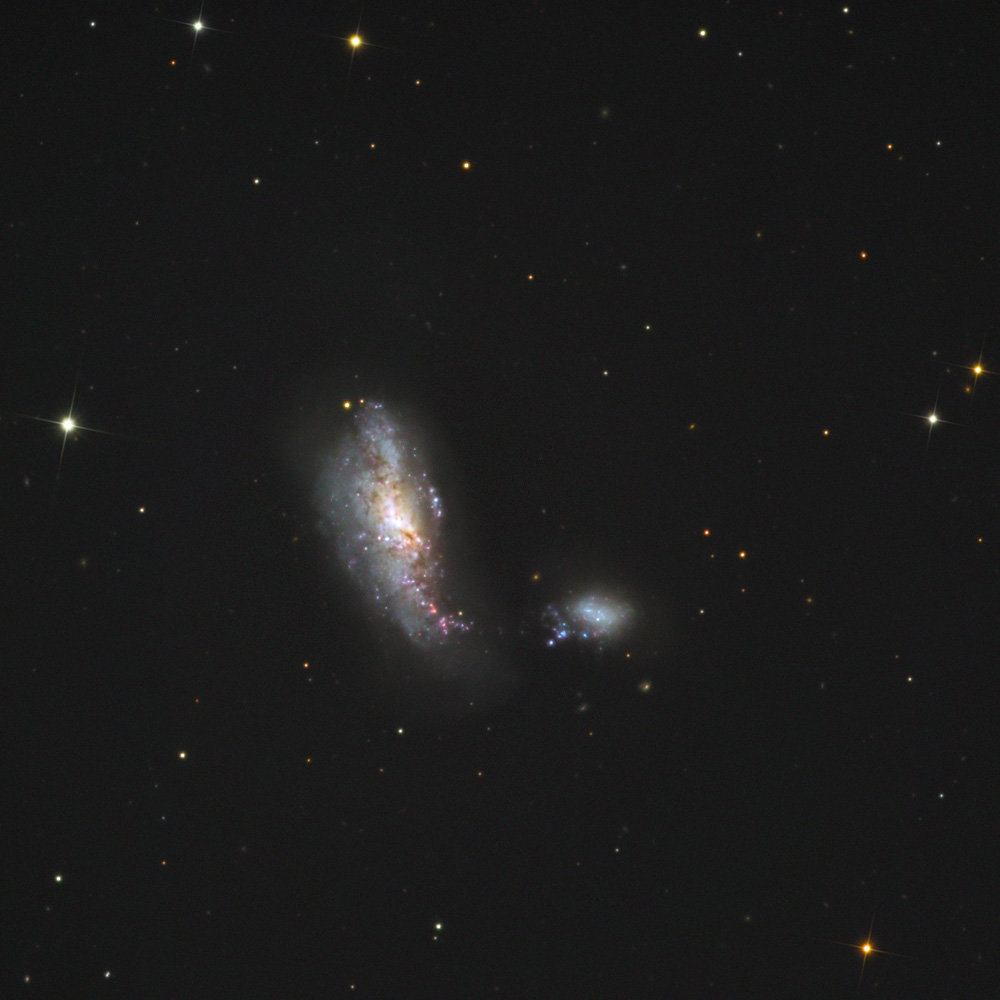 Collision de deux Cocons : ngc 4490 et 4485 - Astrophotographie - Webastro