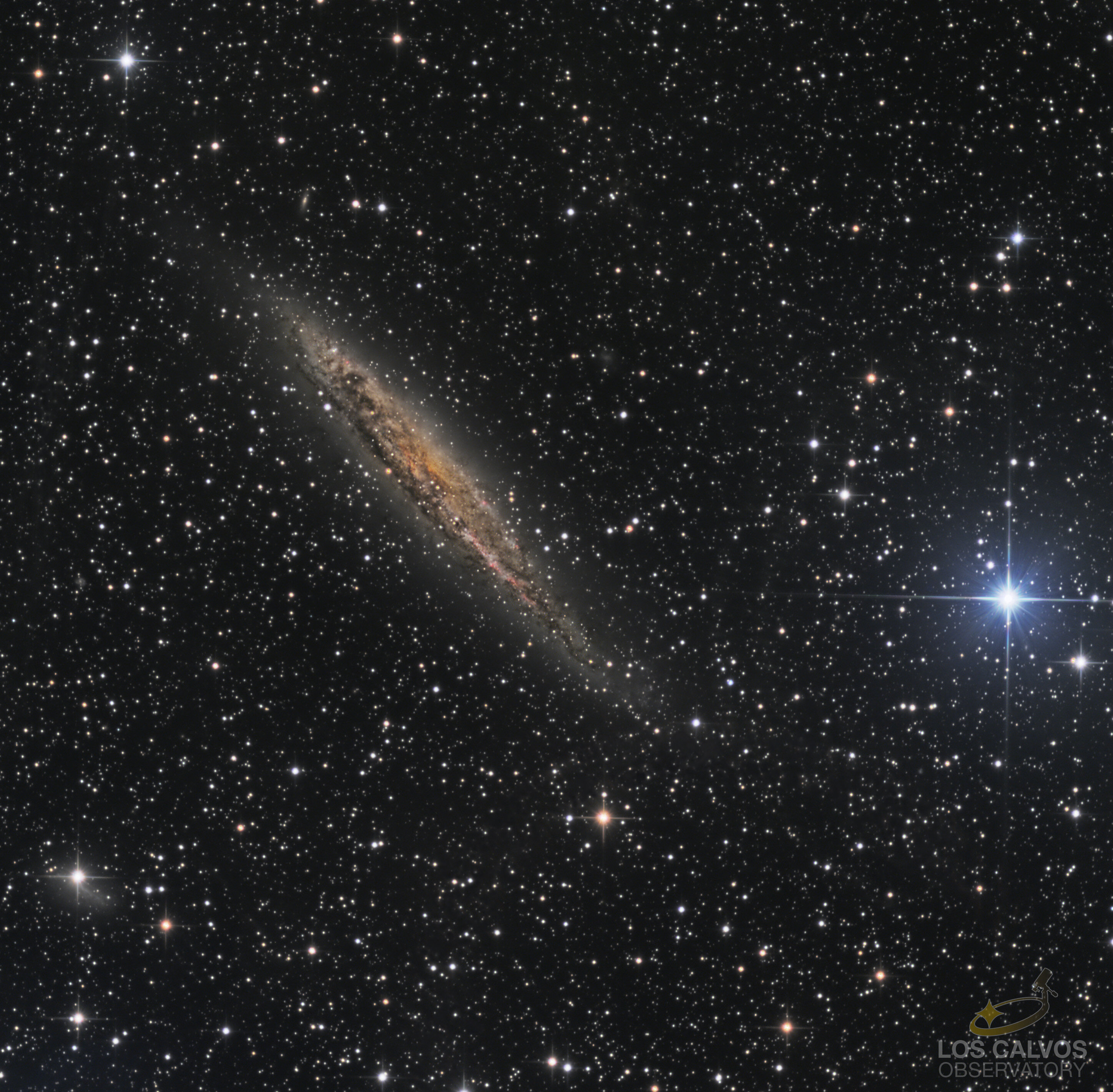 NGC4945 - Astrophotographie - Webastro