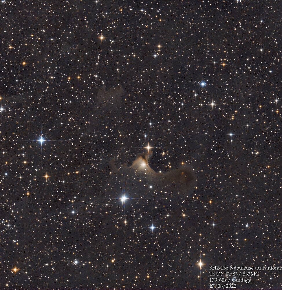SH2-136 (VDB-141) : Nébuleuse du Fantôme - Astrophotographie - Webastro