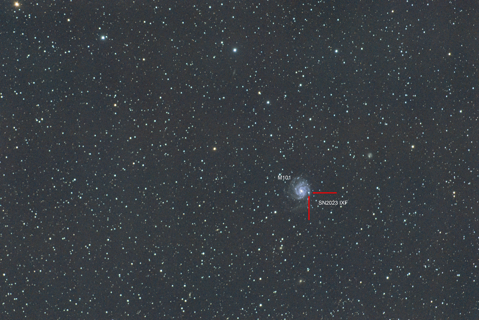 M101 et la Supernova SN 2023 IXF - Astrophotographie - Webastro